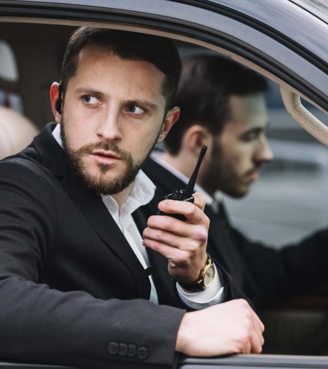 Alpha Patrolling – Security You Deserve